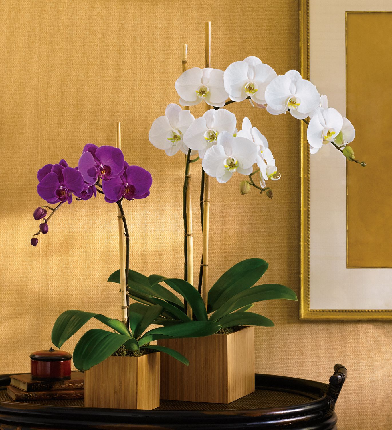 Teleflora's Opulent Orchids